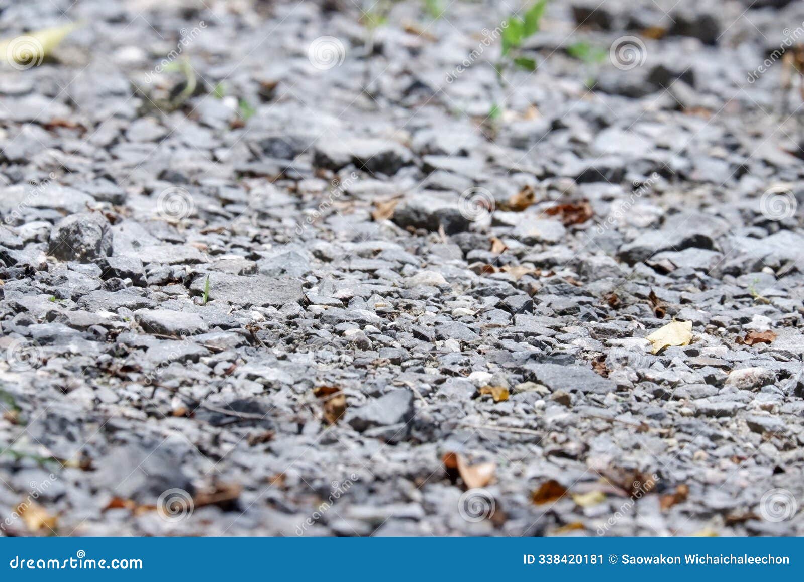 In Selective Focus a Rough Pathway,a Pile of Rocks on the Ground Floor ...