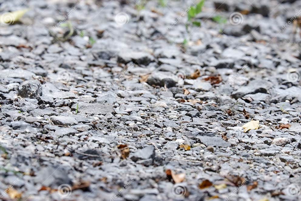 In Selective Focus a Rough Pathway,a Pile of Rocks on the Ground Floor ...