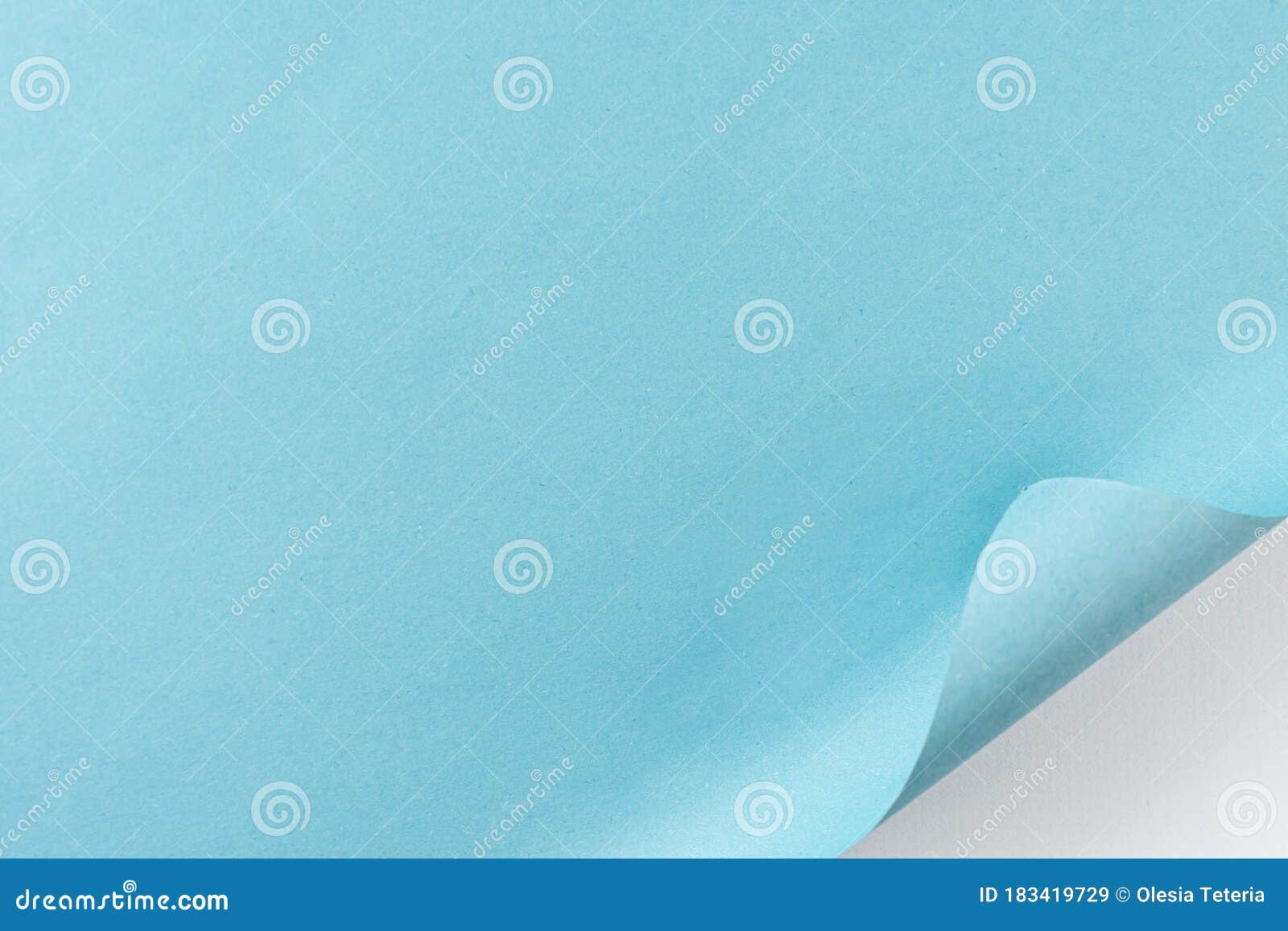 Selective Focus, a Sheet of Colored Paper, Copyspace Stock Image ...
