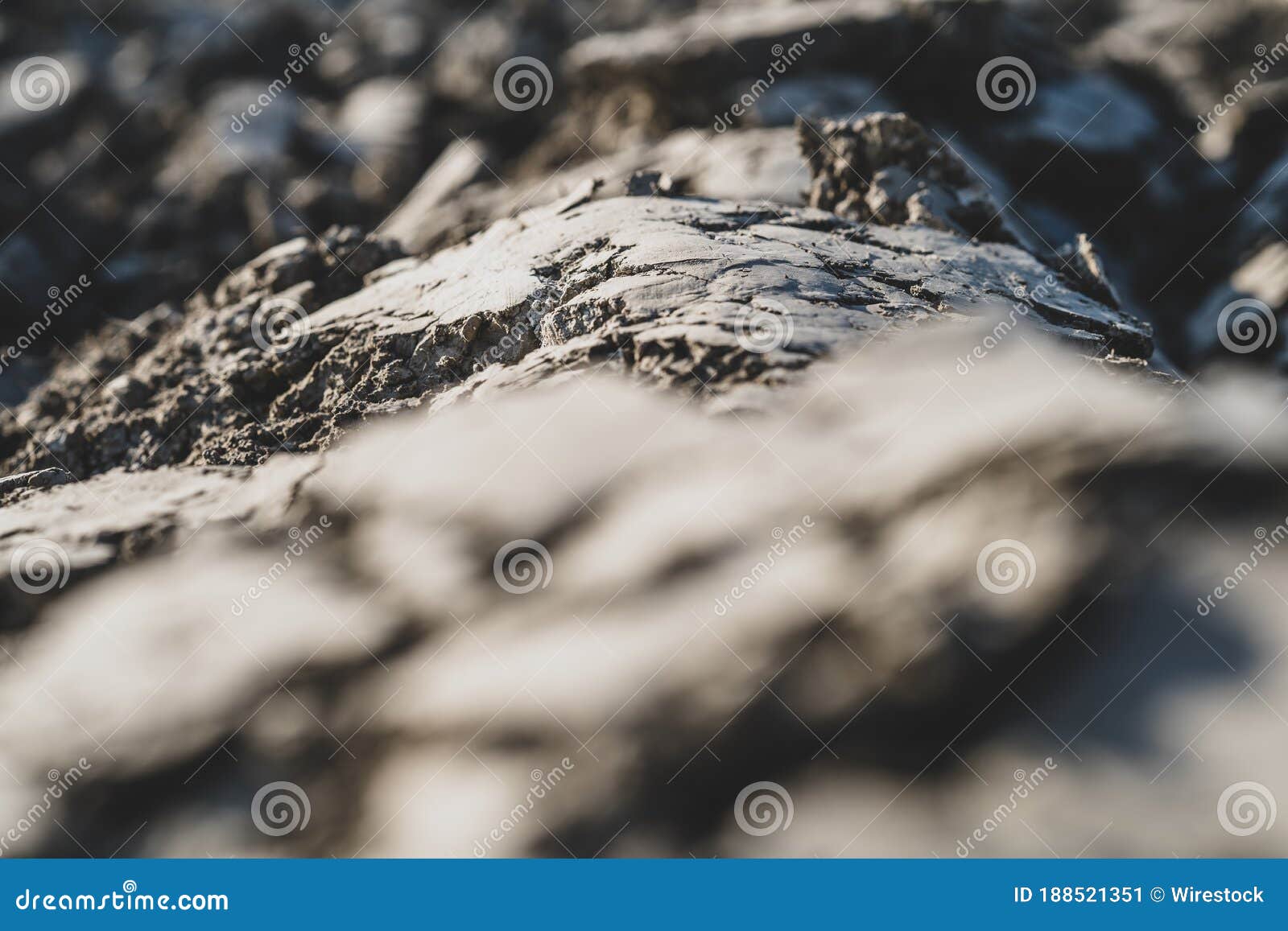 Selective Focus Shot of a Dark Grey Rocky Area Stock Image - Image of ...