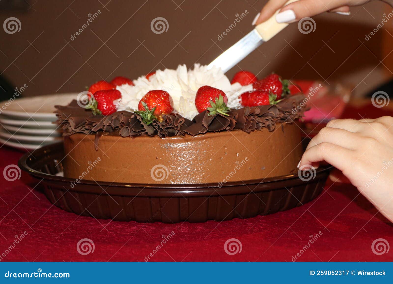 Selective Focus Shot of a Female Cutting a Chocolate Cake with a Knife ...
