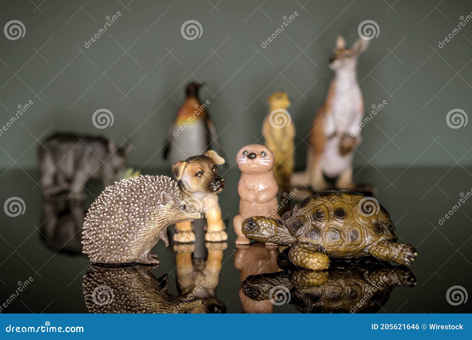Selective Focus Shot of Figures of Animals on a Grey Background Stock ...