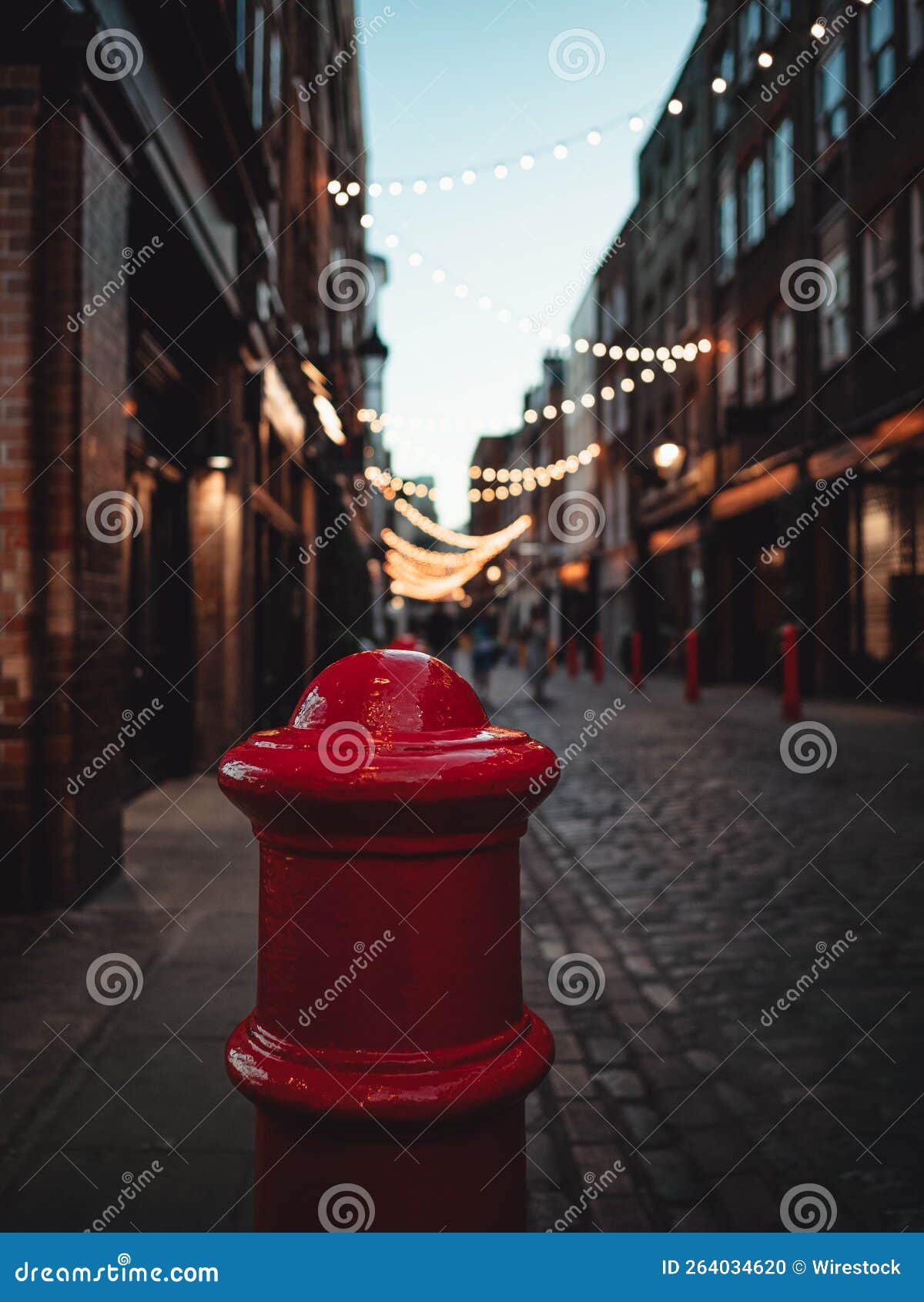 Selective Focus Shot of a Fire Hydrant on the Street at Sunset in ...