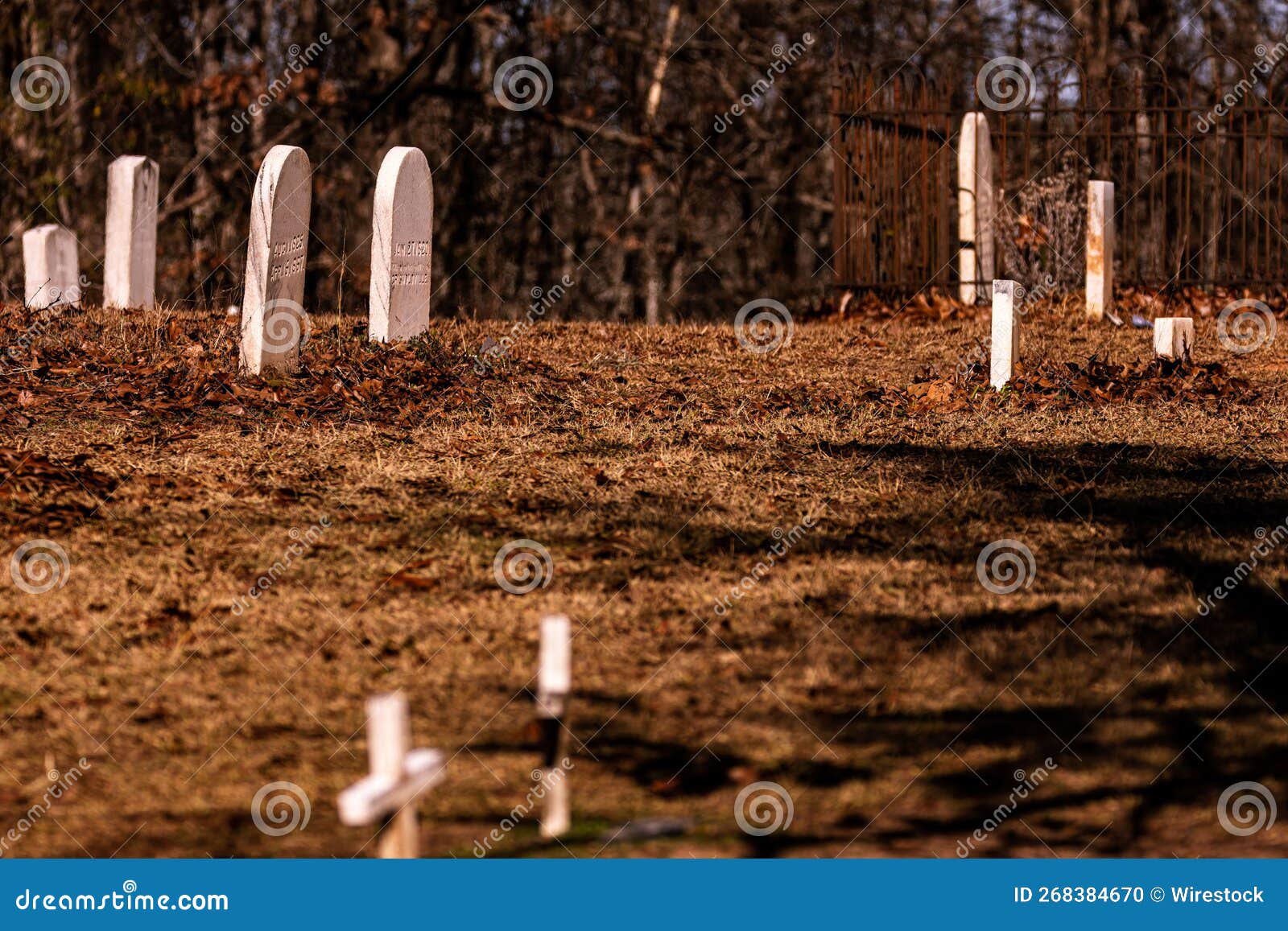 Selective Focus Shot of Gravestones on a Cemetery Stock Photo - Image ...