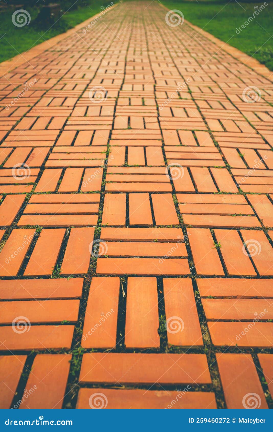 Selective Focus Shot of Many Bricks Walkway Stock Photo - Image of ...