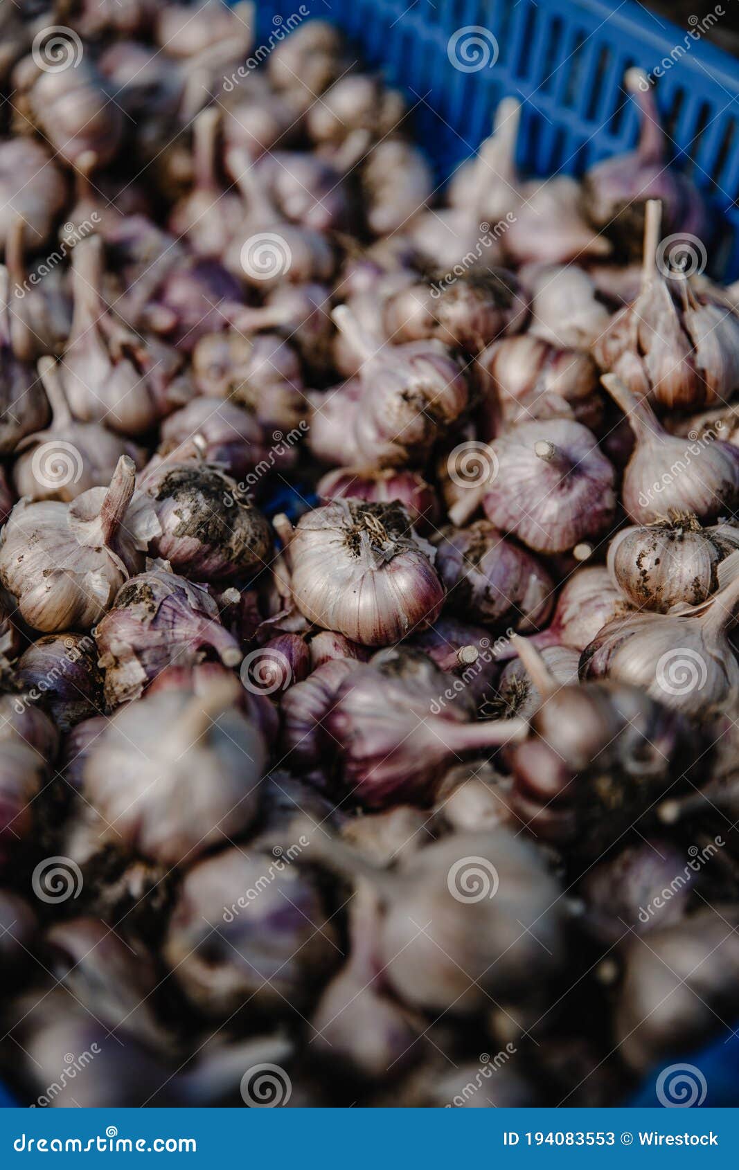 Selective Focus Shot of a Pile of Garlic Stacked on Top of Each Other ...
