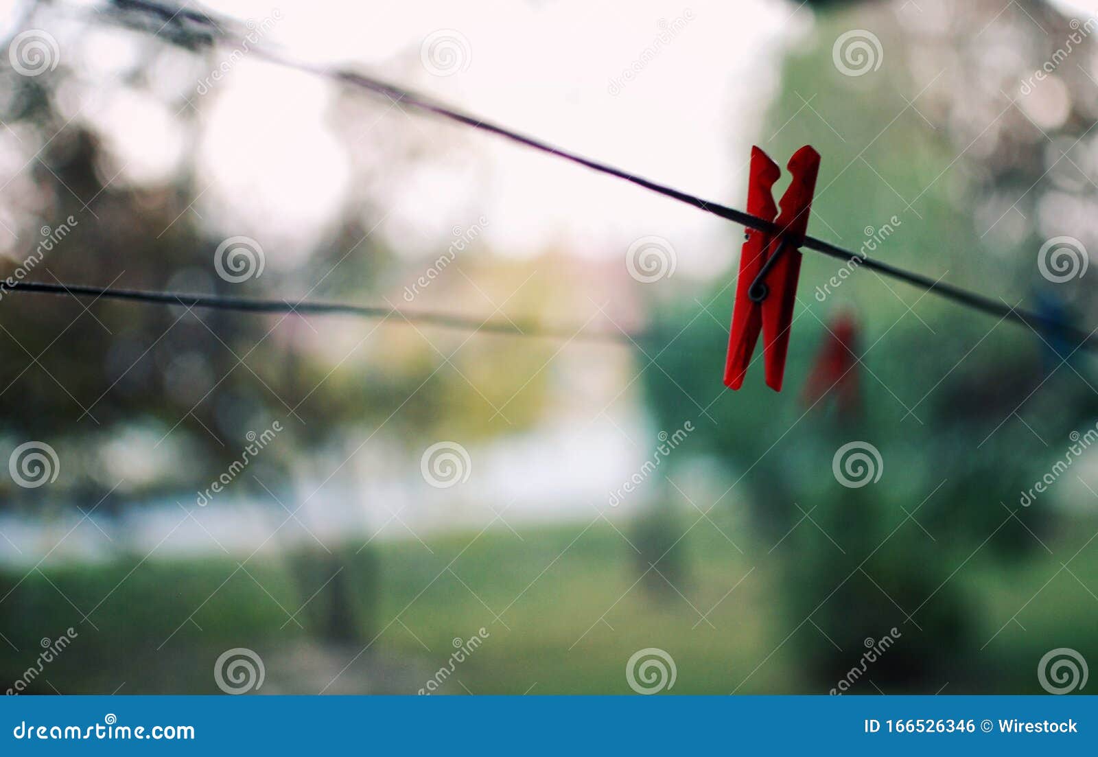 Selective Focus Shot of a Red Clothespin on a Cable with a Blurred ...