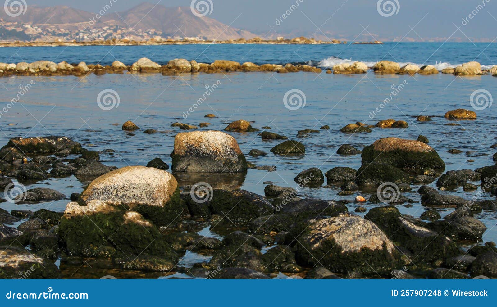 Selective Focus Shot of Rocks Floating in Blue Water Stock Photo ...