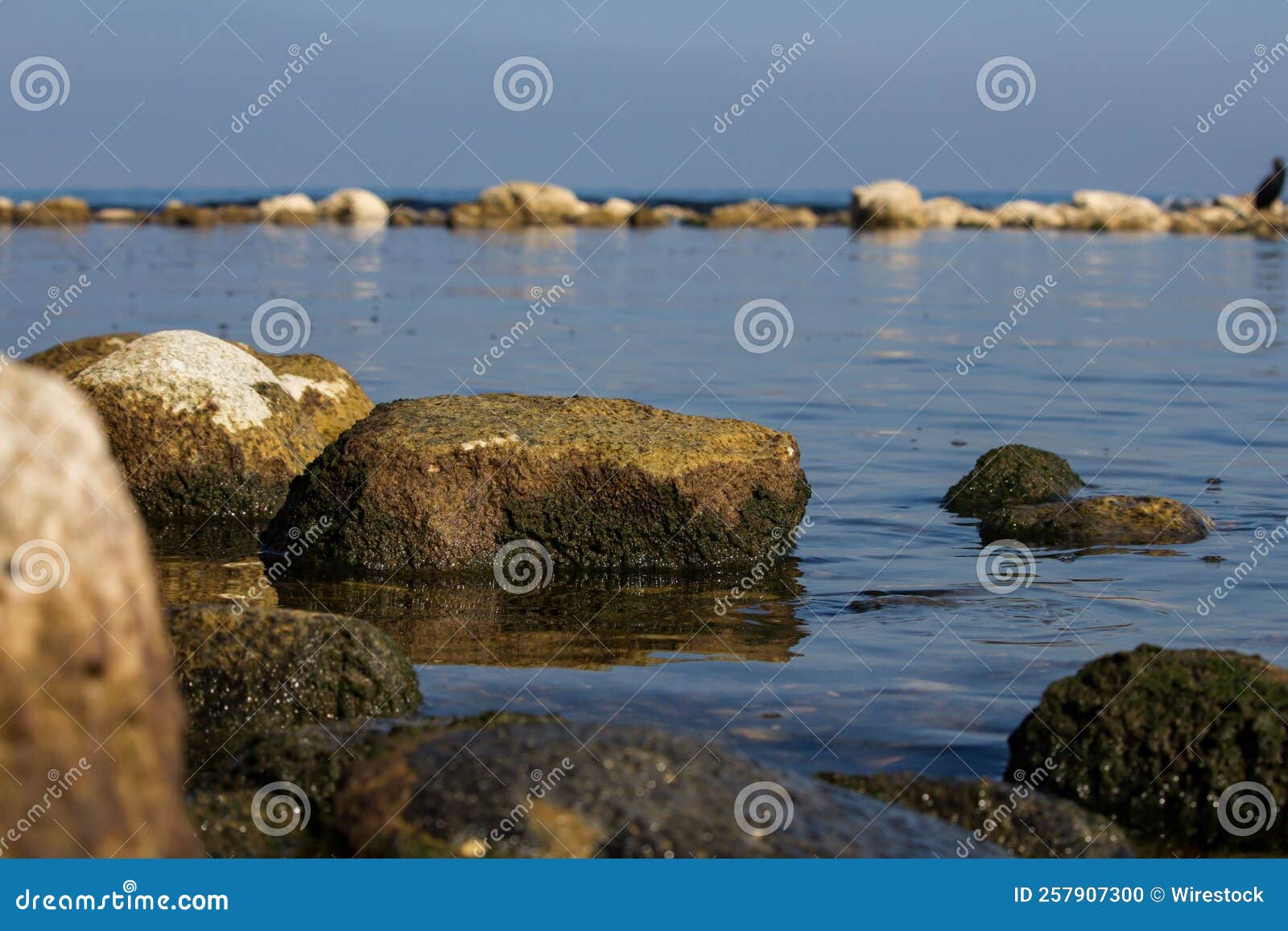 Selective Focus Shot of Rocks Floating in Blue Water Stock Photo ...