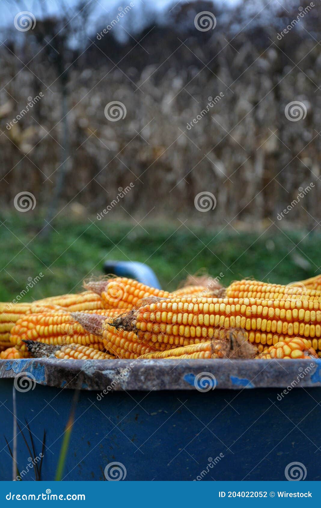 Art & Collectibles Collectibles primitive corn ear of corn, Handmade ...