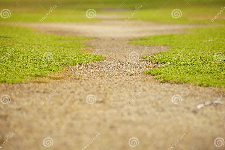 Selective Focus Shot of Sandy Pathway with Grass from the Sides Stock ...