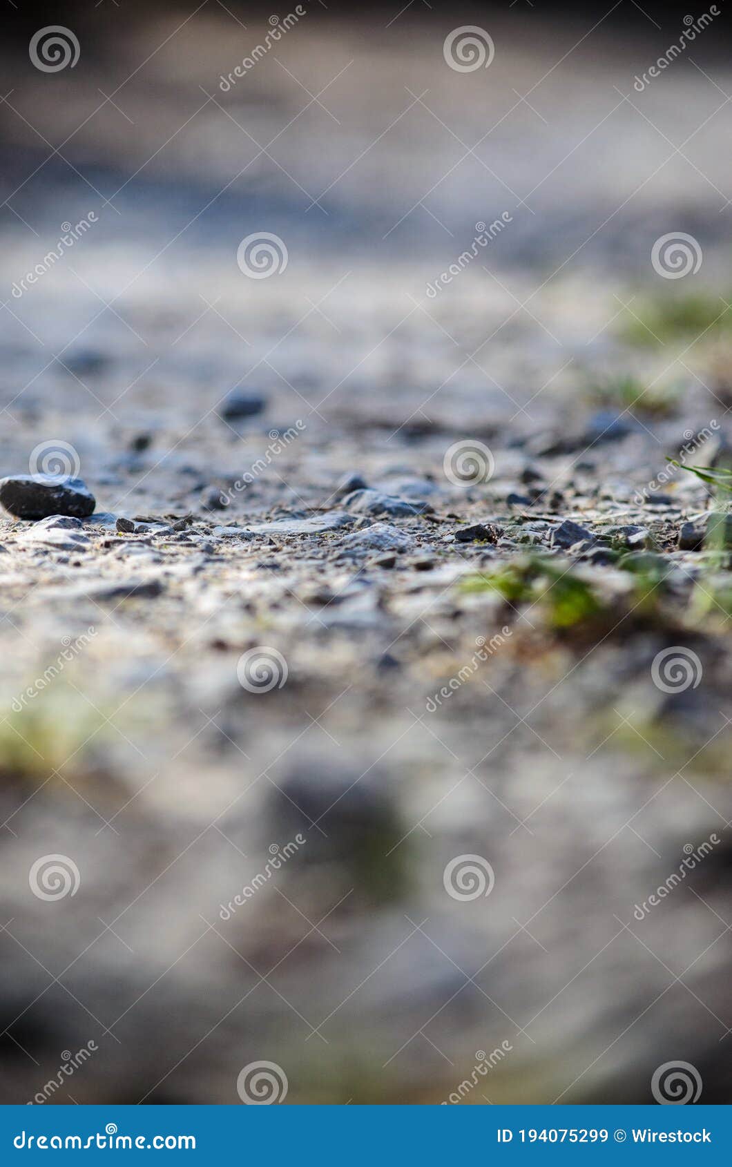 Selective Focus Shot of the Small Rock in the Ground Stock Image ...