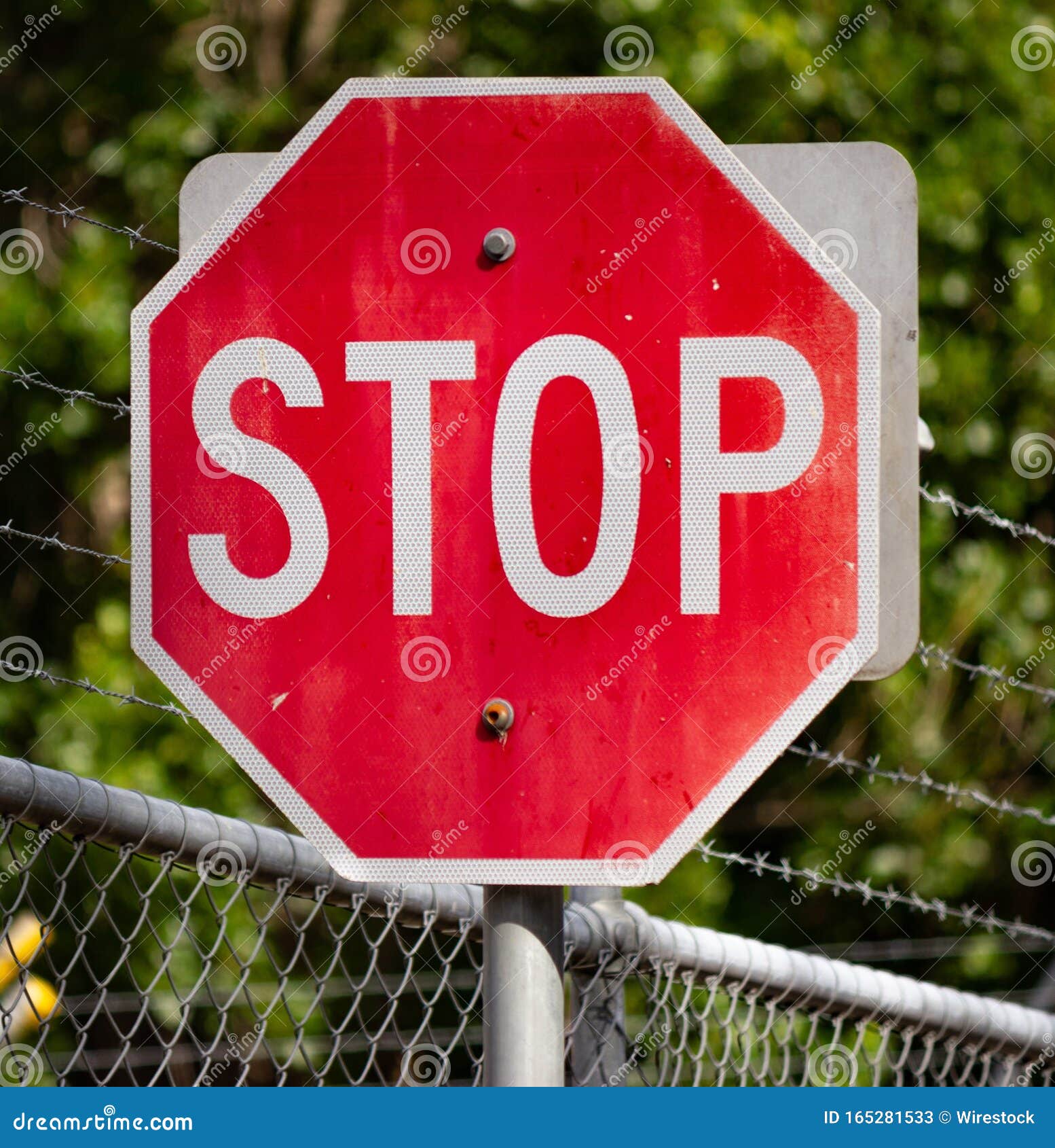 Selective Focus Shot of a Stop Sign in Front of a Forest Entrance Stock ...