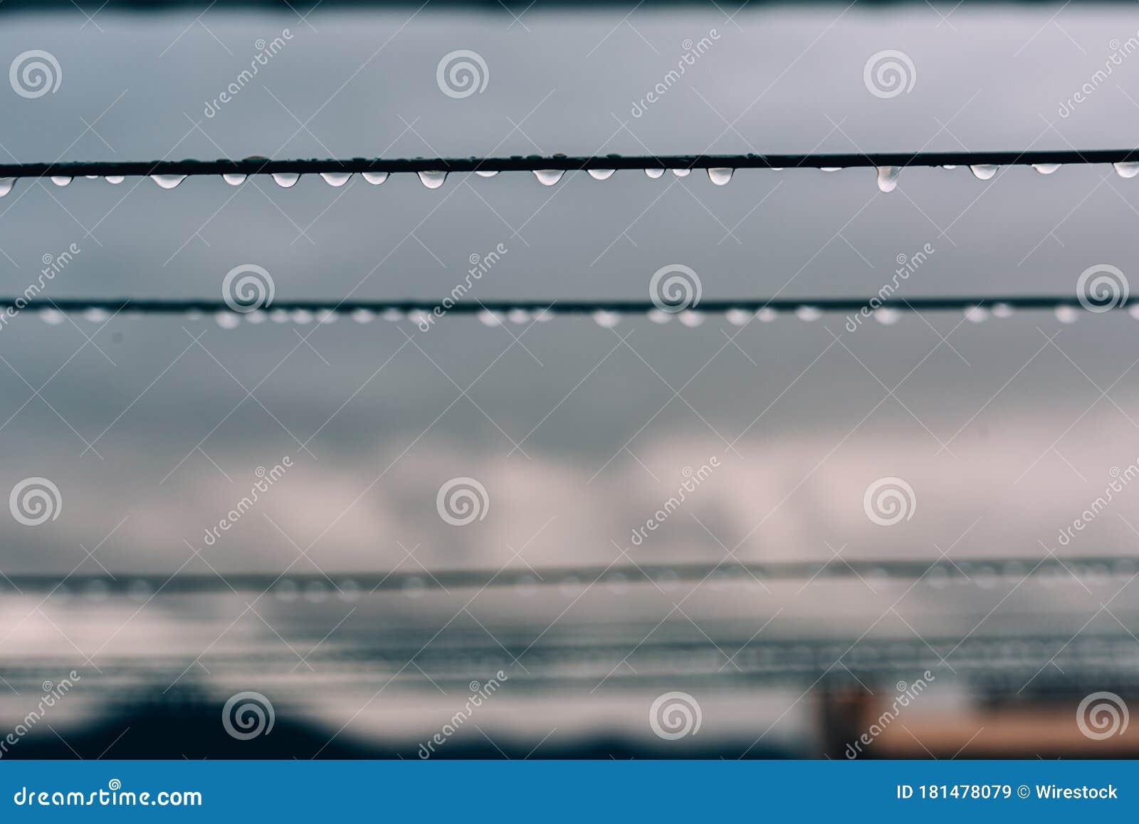 Selective Focus Shot of Water Droplet Hanging on Wires Stock Image ...