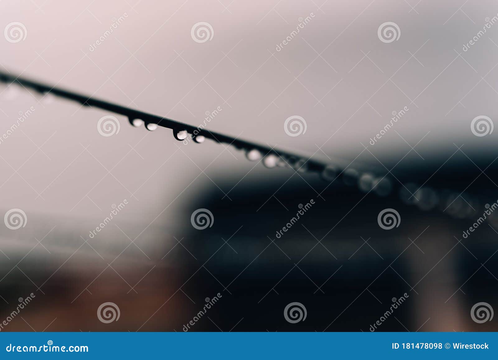 Selective Focus Shot of Water Droplets Hanging on a Wire Stock Photo ...