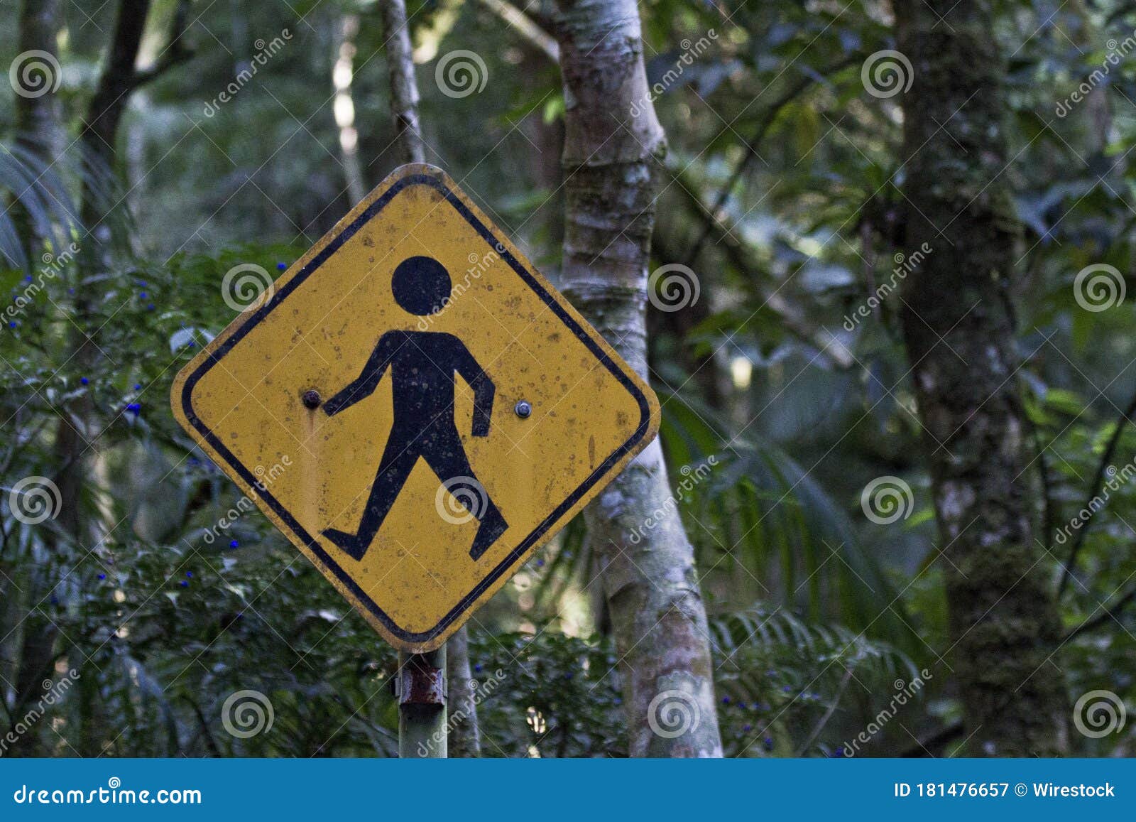 Selective Focus Shot of a Yellow Warning Signpost Stock Image - Image ...