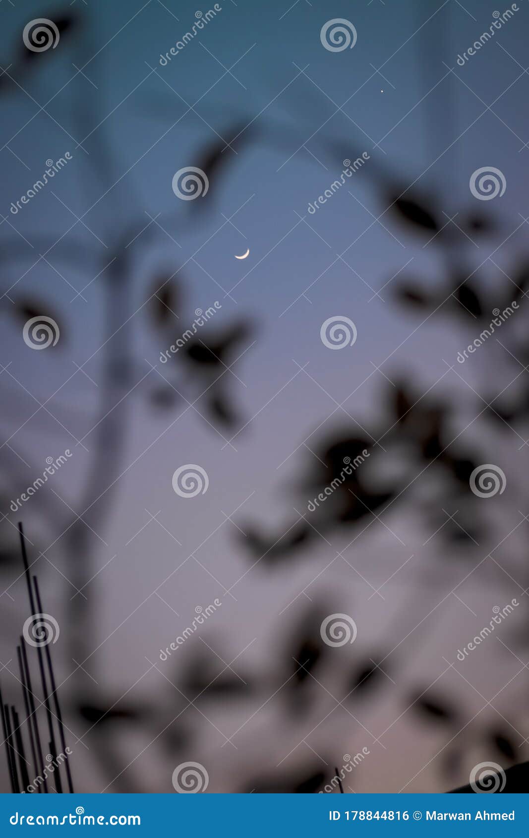 Selective Focus on Subject Which is a New Moon in Blue Sky Stock Photo ...