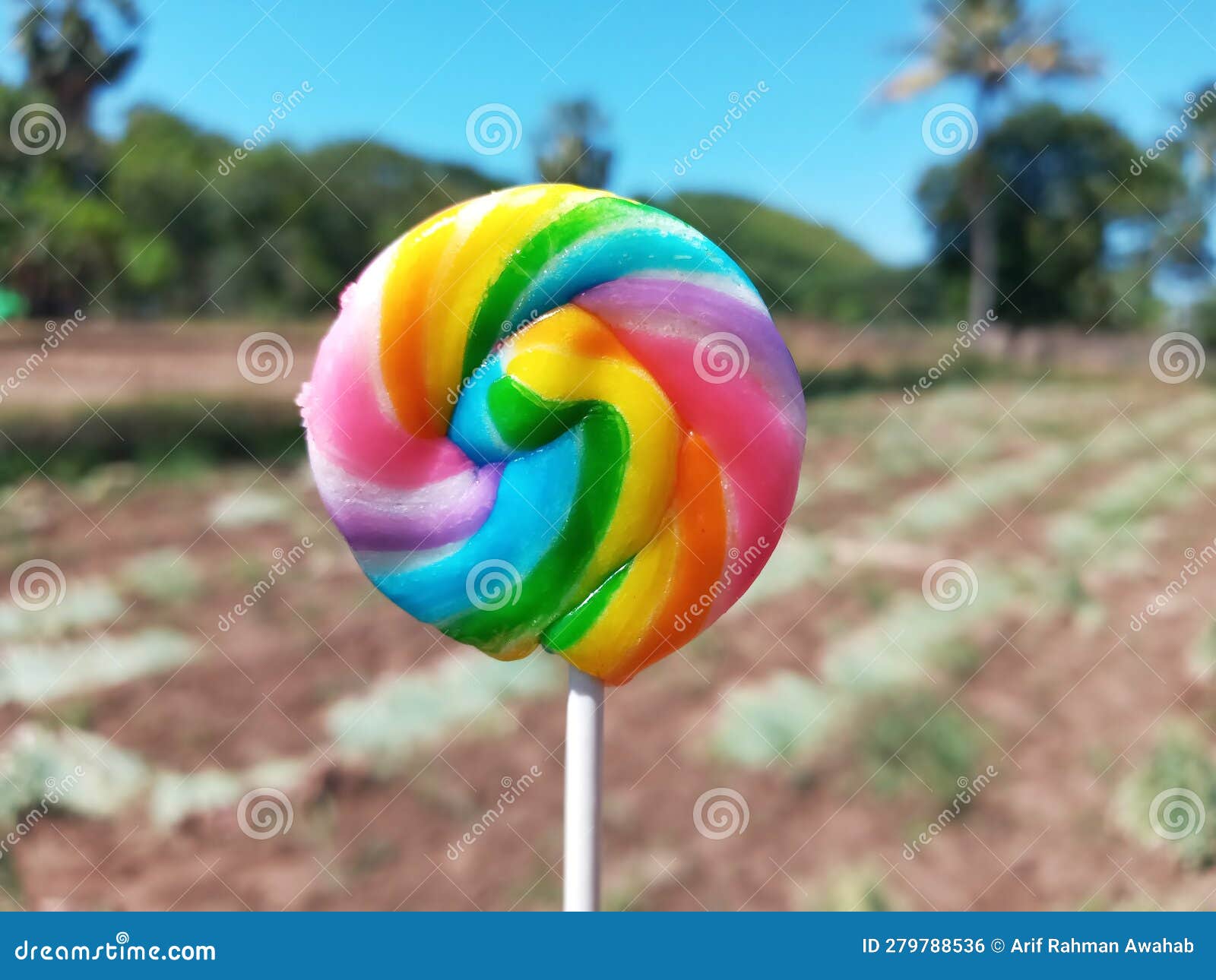 Selective Focus of Swirl Stick Rainbow Candy with Blurred Agriculture ...