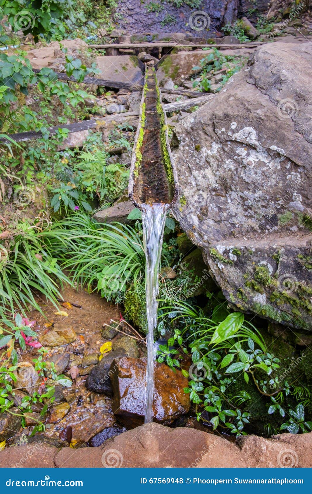Selective Focus on Water from Bamboo Stream Way from the Waterfall ...