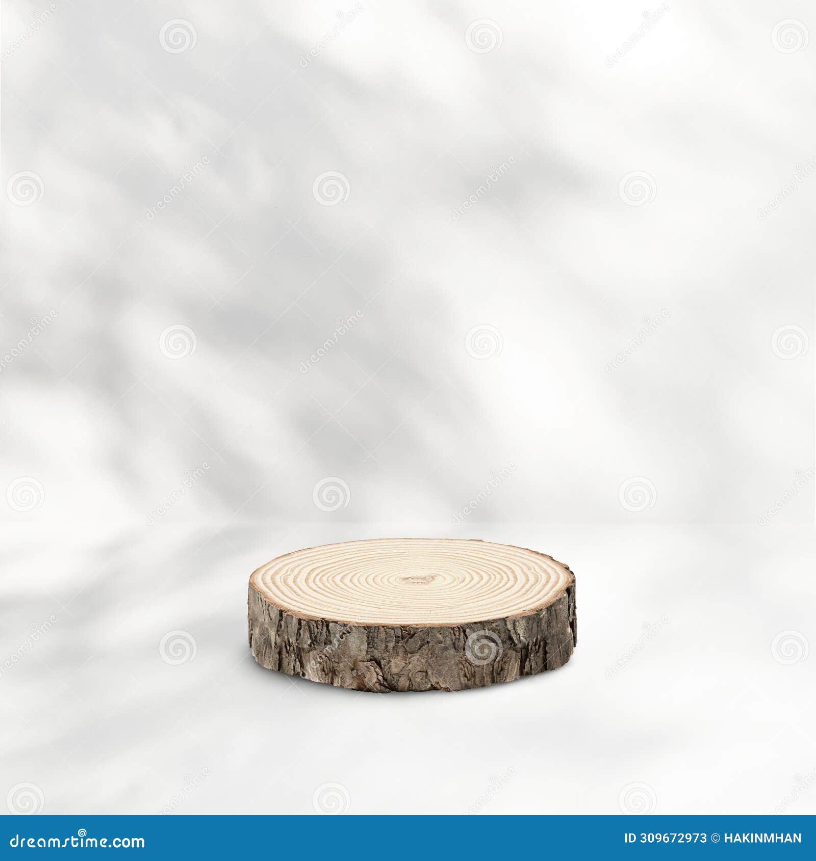 Selective Focus.wood Tree Stump Product Display Placement or Cutting ...