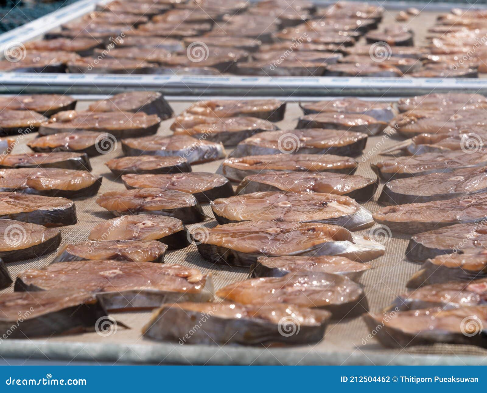Sun dried mackerel fish stock photo. Image of cooking - 212504462