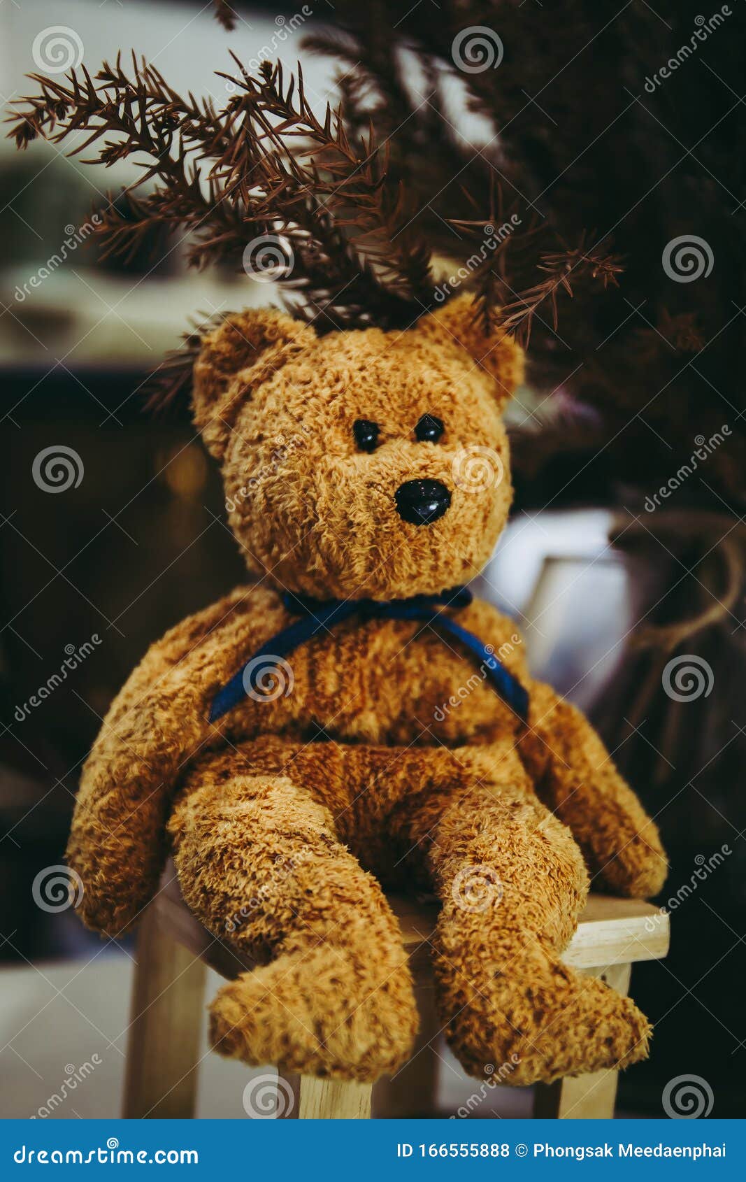 Selective Focused on Cute Teddy Bear Sit on the Chair or Bench. Stock ...