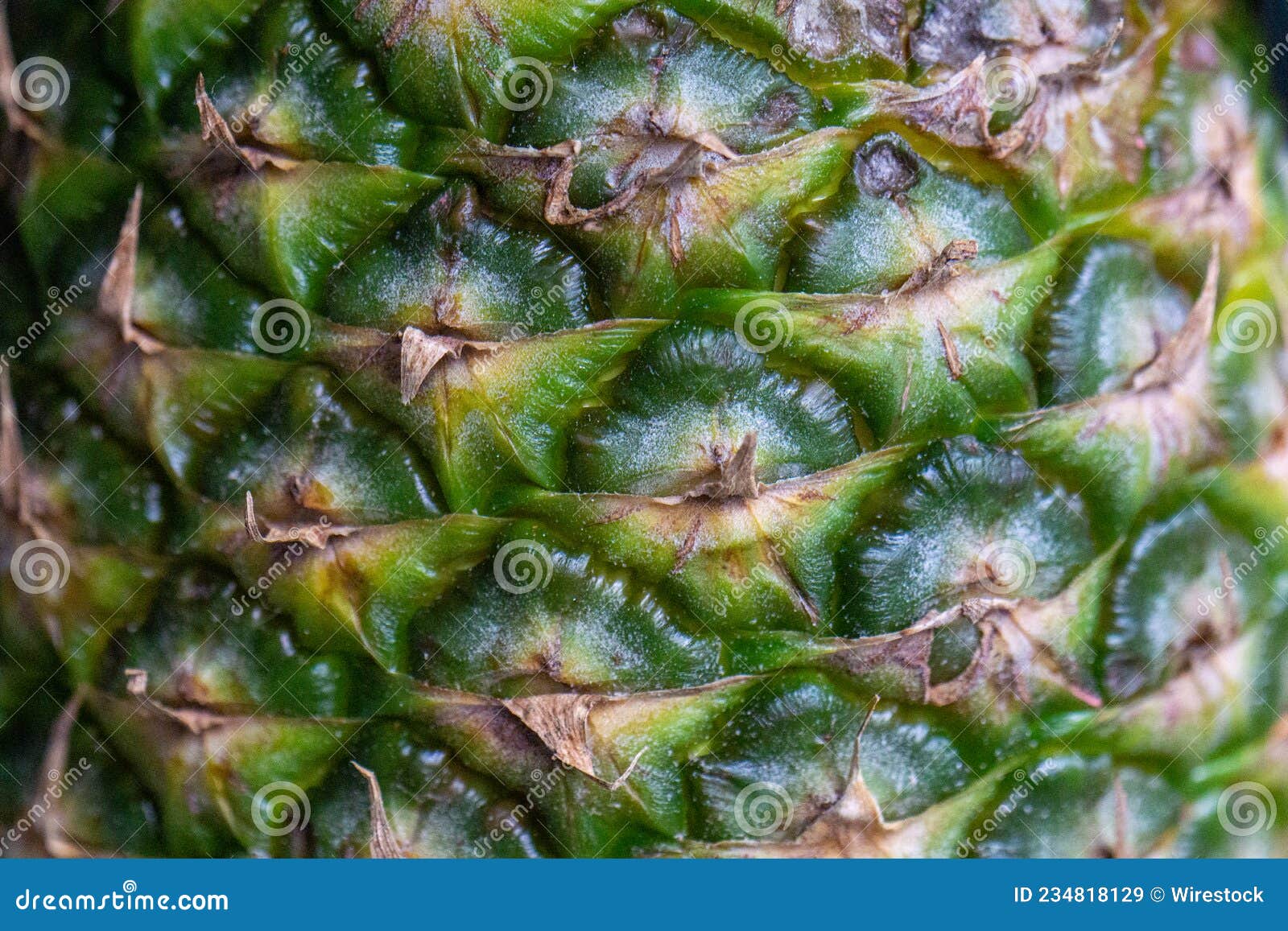 Selective of a Pineapple Skin Texture Stock Image - Image of food ...
