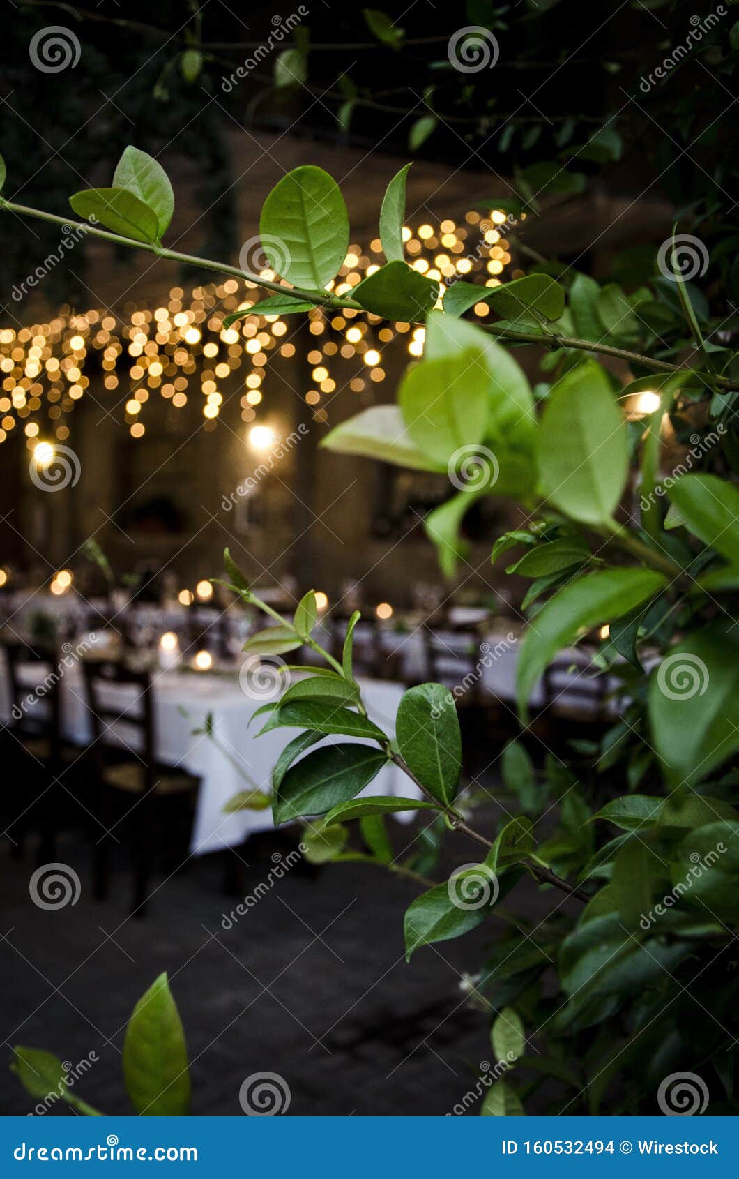 175 String Lights Dinner Table Stock Photos - Free & Royalty-Free Stock ...