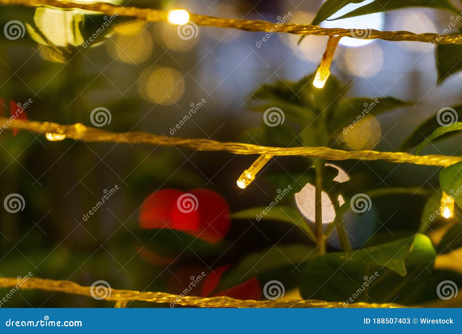 Selective Shot of Yellow Fairy Lights on a Tree with a Blurry ...