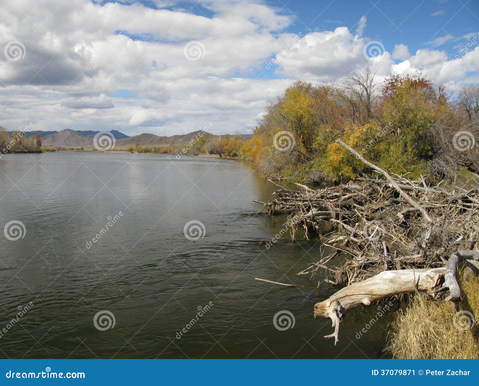 Selenge river, Mongolia stock image. Image of early, creek - 37079871