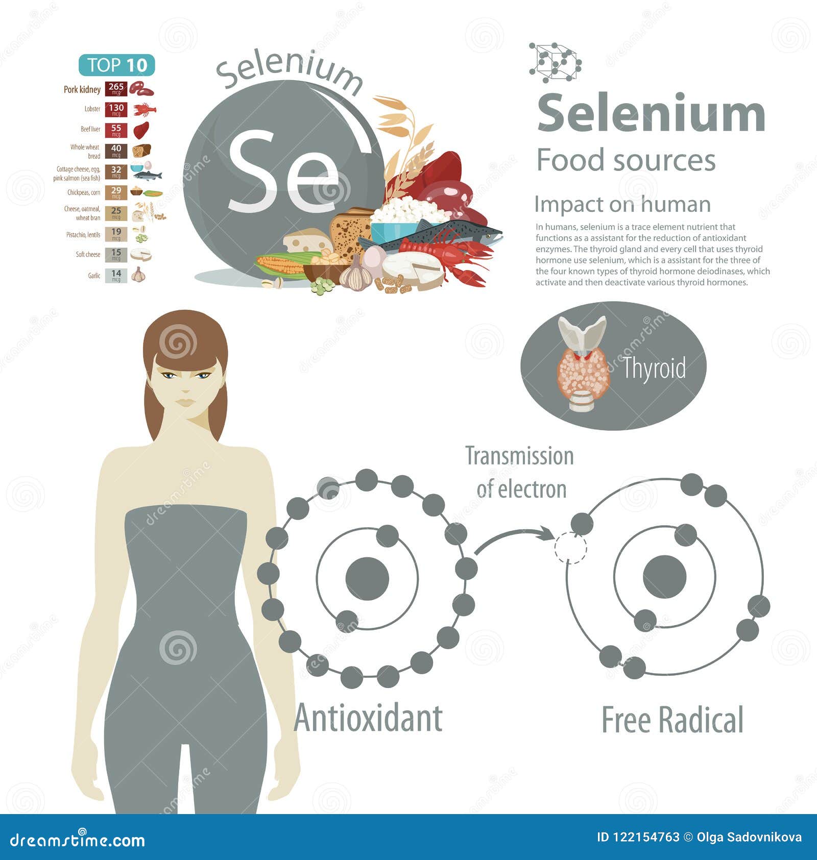 Selenium The Effect Of Minerals On Human Health A Healthy Diet And A