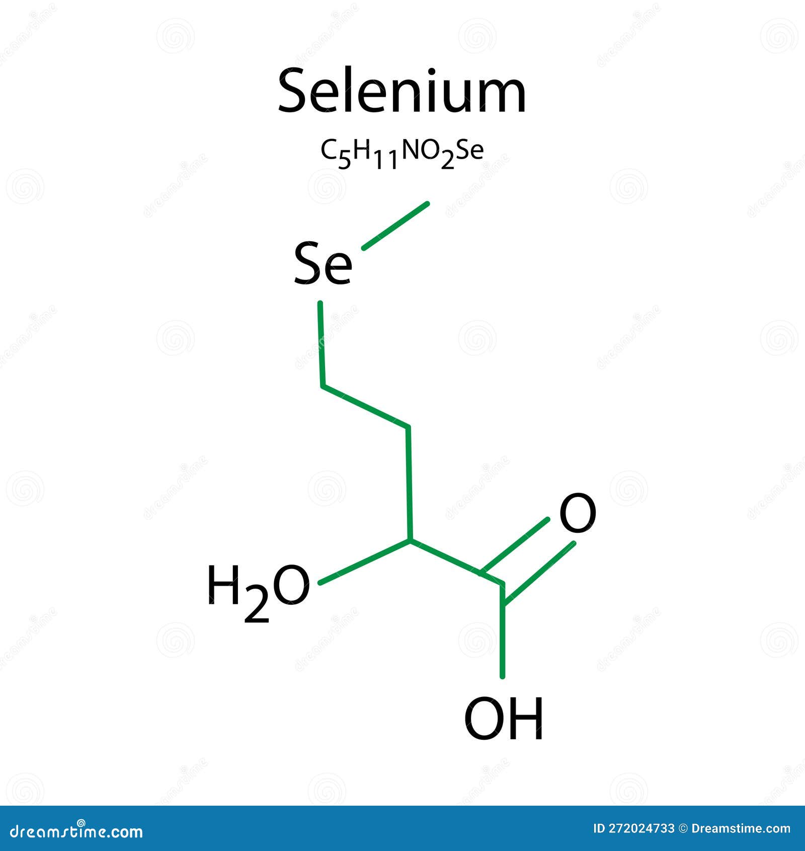 Selenium Formula. Line Drawing. Vector Illustration Stock Vector ...