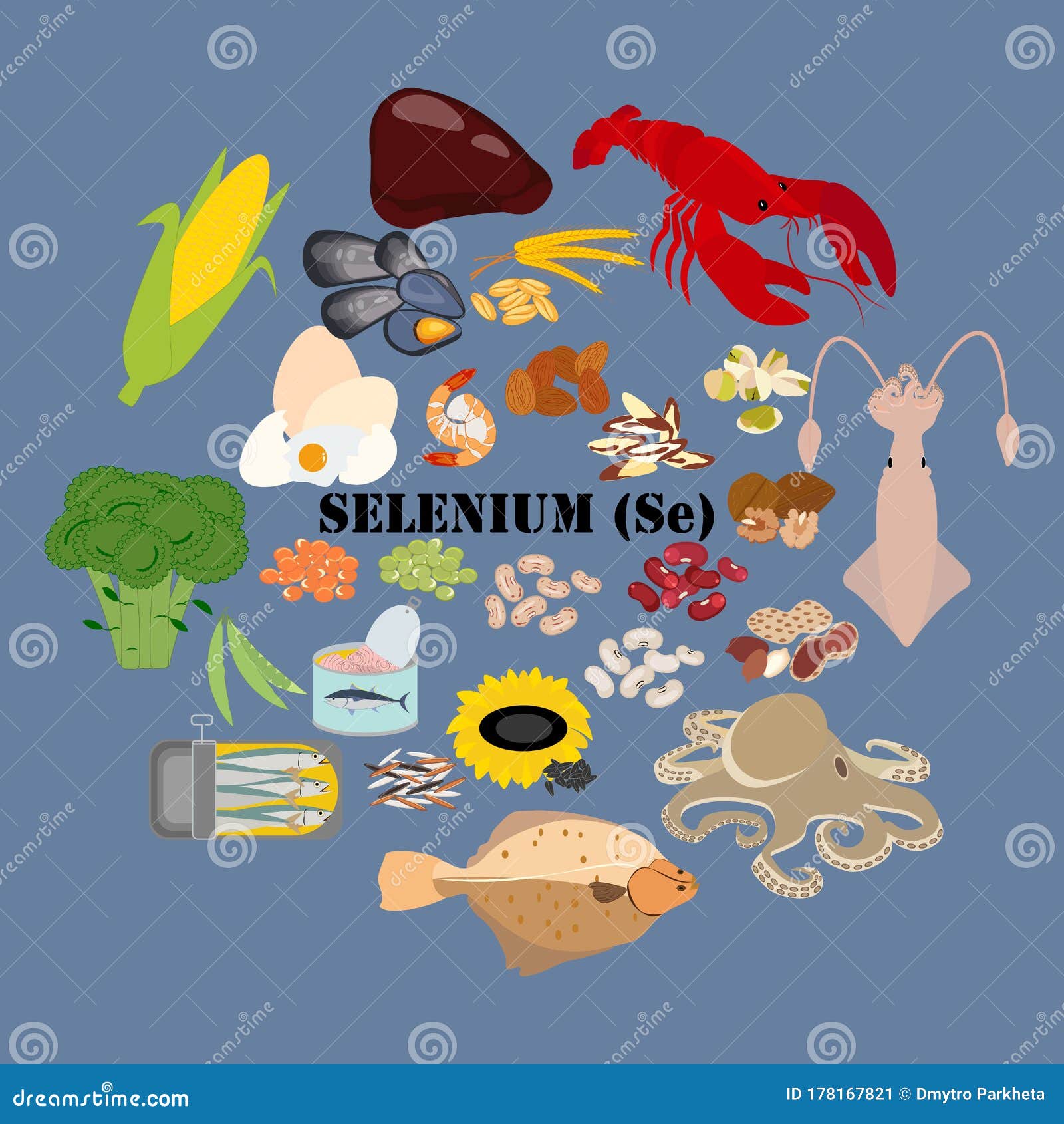 Selenium Se Microelement in Food Vector Illustration Stock Vector ...