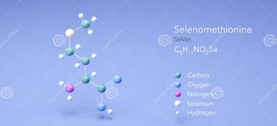 Selenomethionine Molecule, Molecular Structures, Semet, 3d Model ...