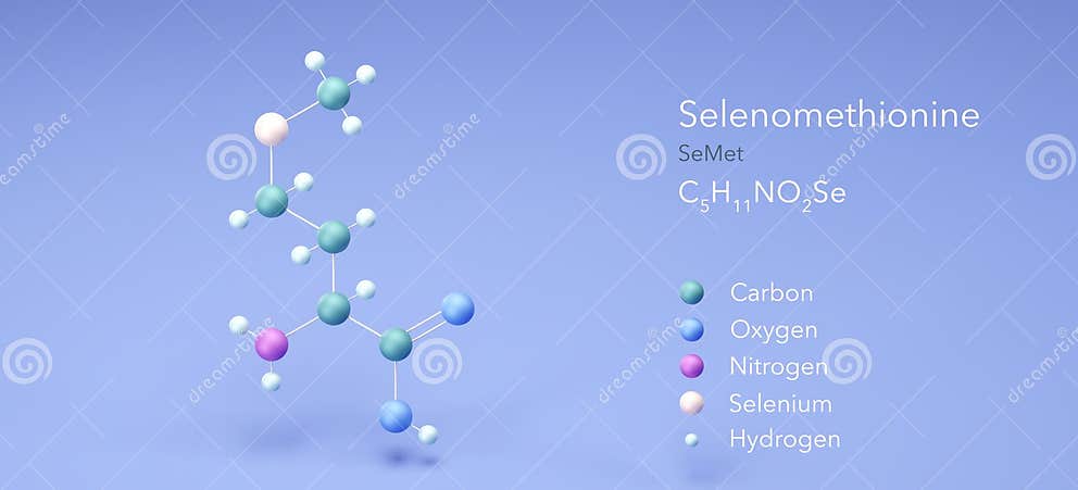 Selenomethionine Molecule, Molecular Structures, Semet, 3d Model ...