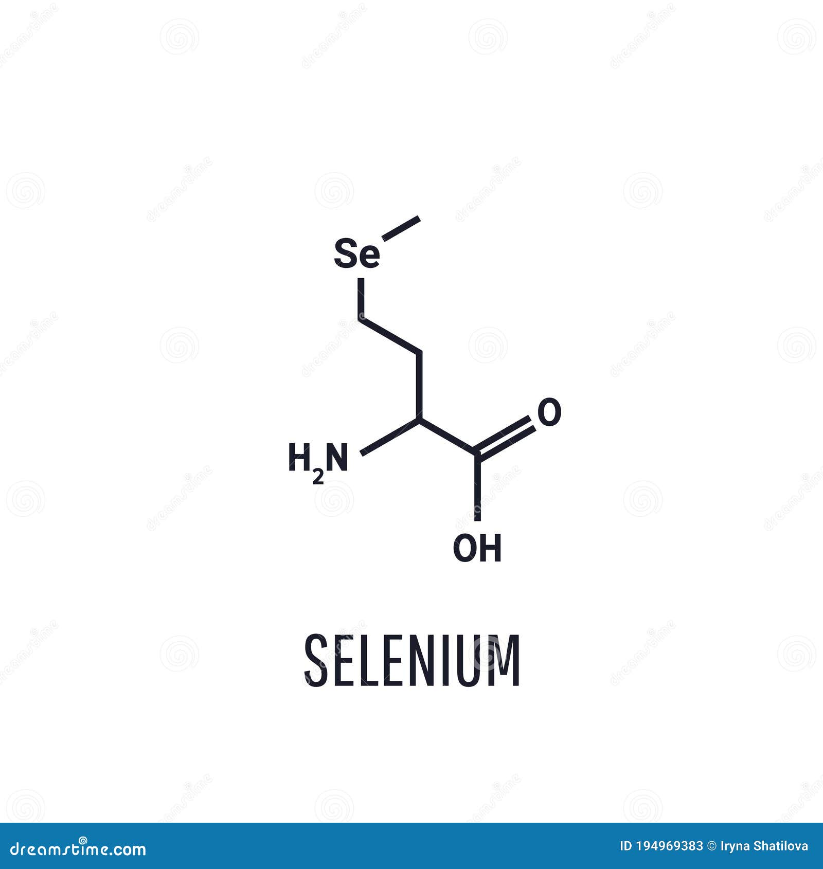 Selenomethionine Is A Naturally Occurring Selenium Containing Amino Acid L Enantiomer Vector