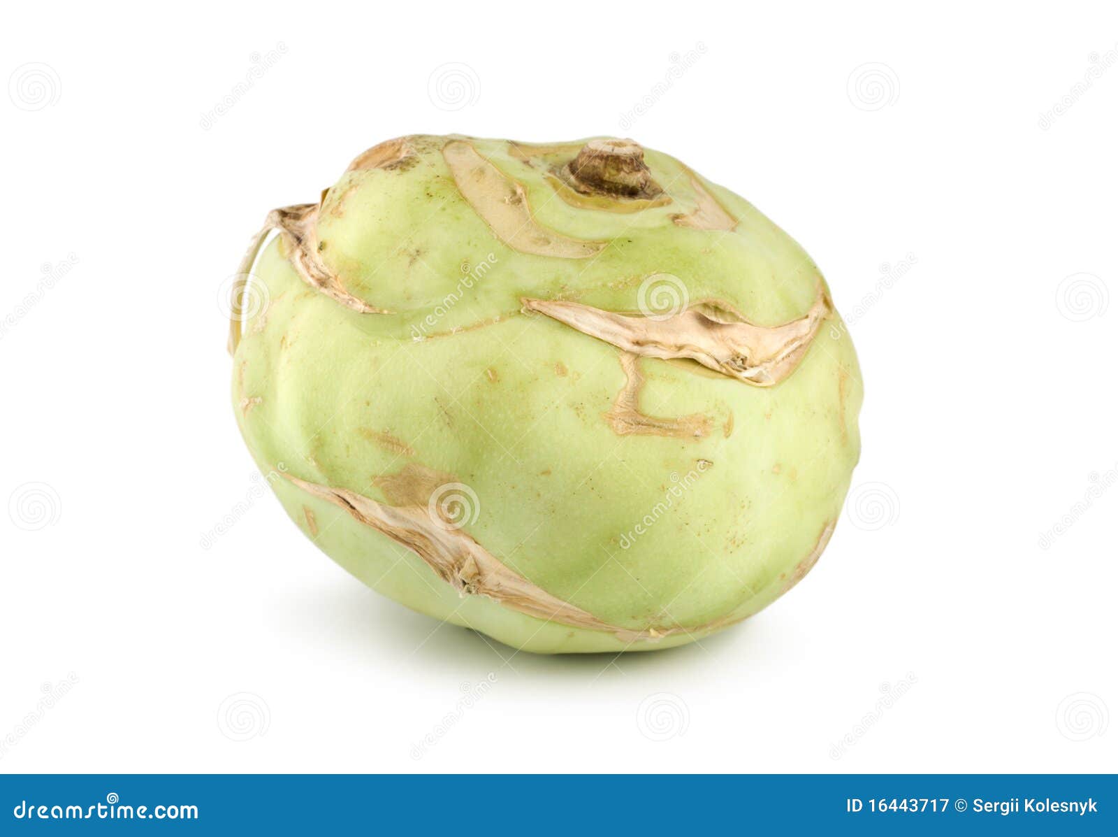 Seler obraz stock. Obraz złożonej z odosobniony, korzeń - 16443717