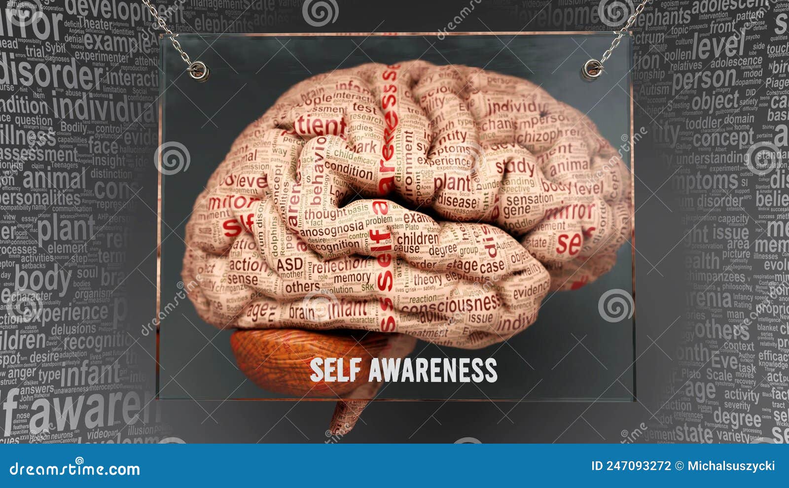 Self Awareness in Human Brain Stock Illustration - Illustration of ...