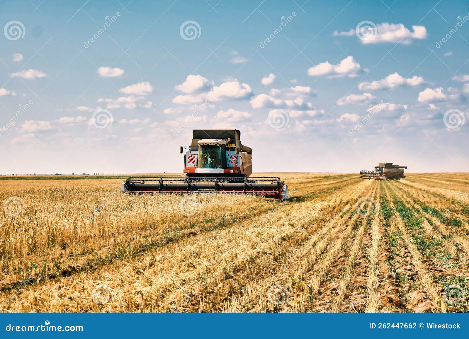 Self-driving Combine Performs Wheat Grain Harvest, Modern Technology ...