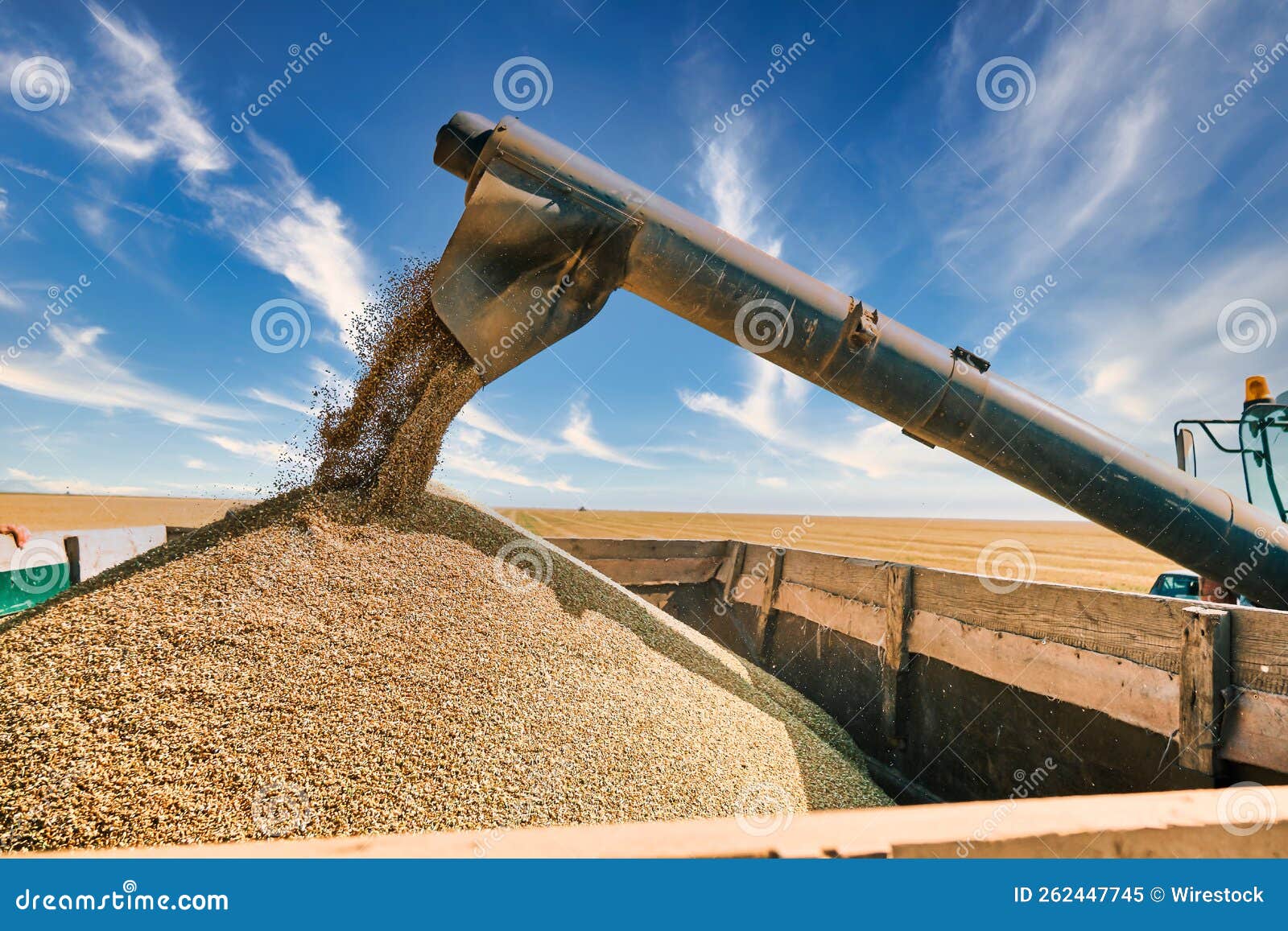 Self-driving Combine Performs Wheat Grain Harvest, Modern Technology ...