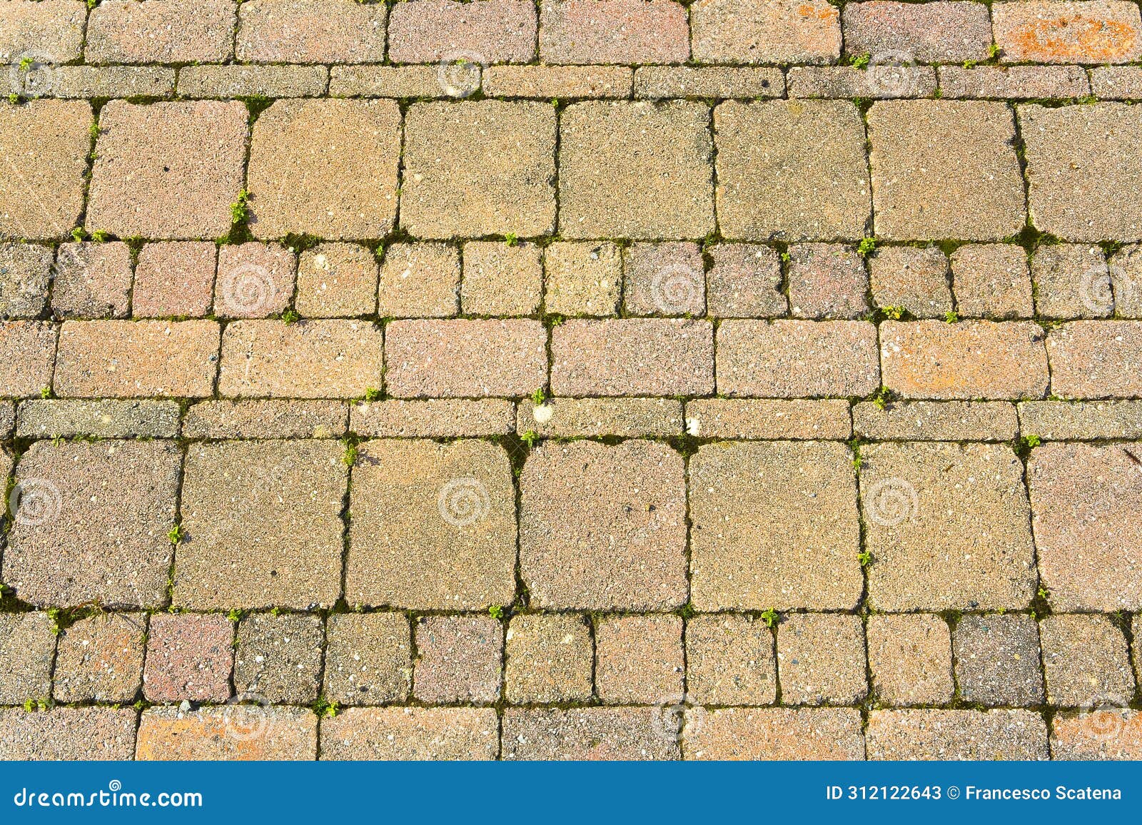 Self-locking Concrete Outdoor Flooring in Square and Rectangular Shapes ...