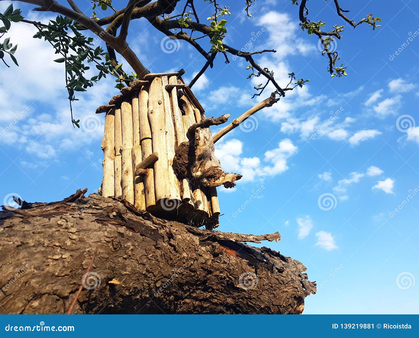 Self-made Bird House on Tree Stump Stock Image - Image of hole, nature ...