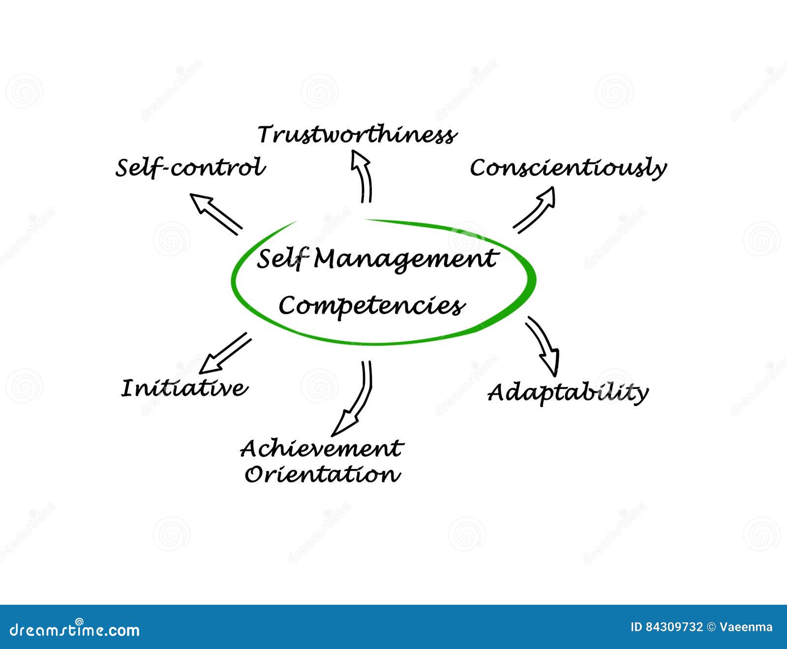 Self Management Competencies Stock Illustration - Illustration of ...