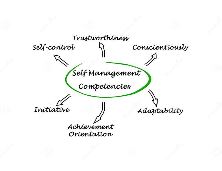 Self Management Competencies Stock Illustration - Illustration of ...