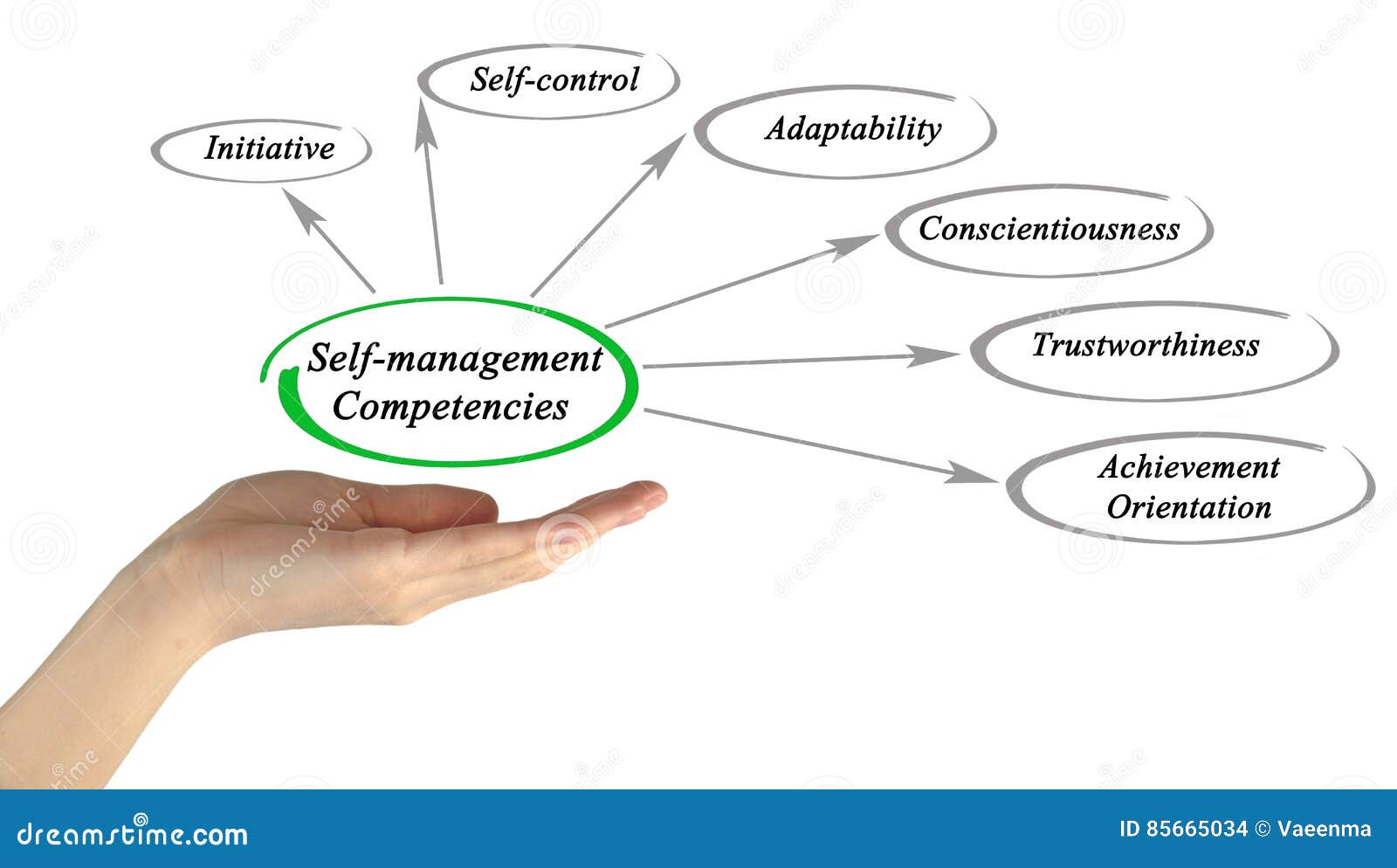 Self-management Competencies Stock Photo - Image of female, self: 85665034 Self-management Competencies Stock Photo - Image of female, self: 85665034