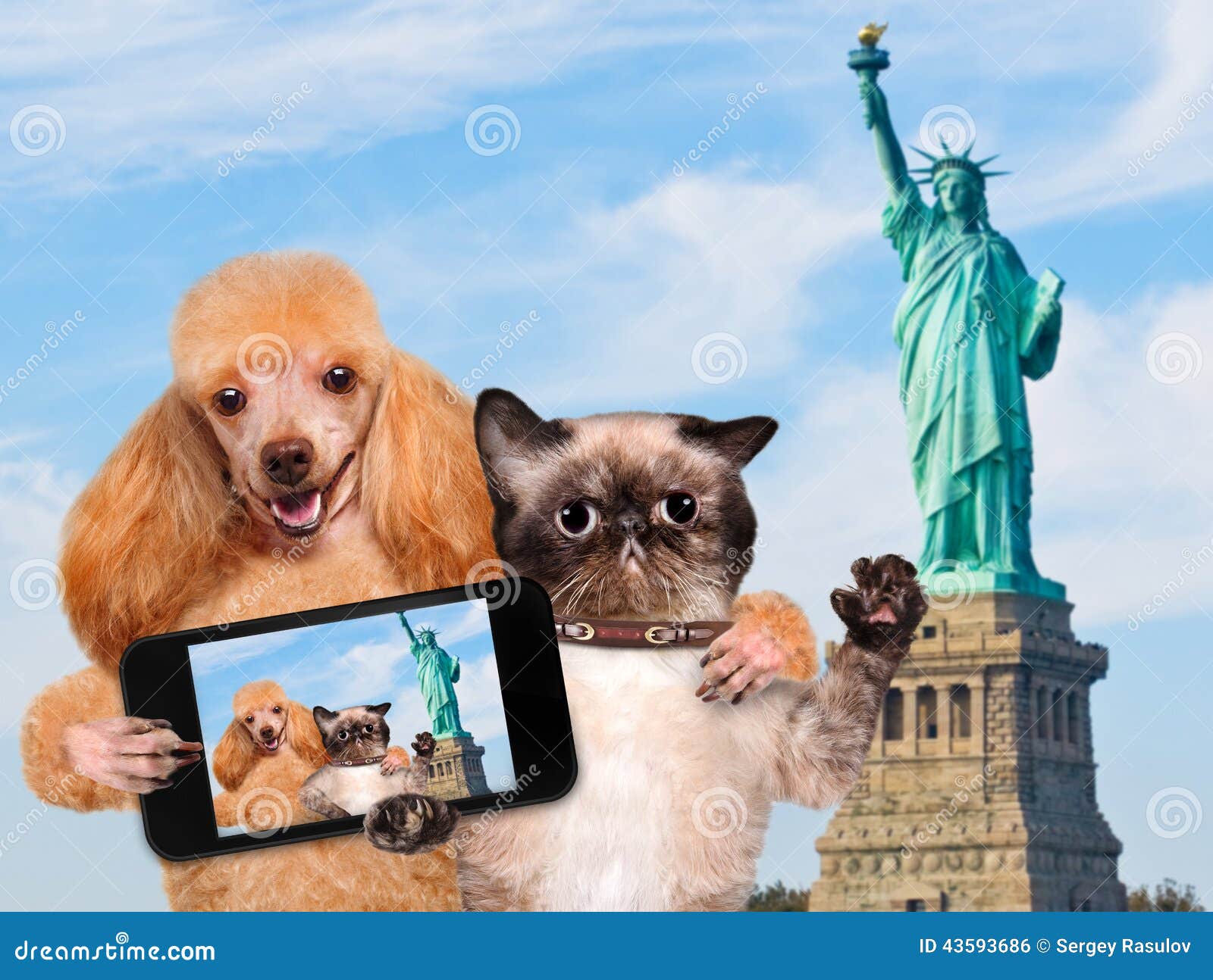 Self-portrait dog and cat stock photo. Image of attractive - 43593686