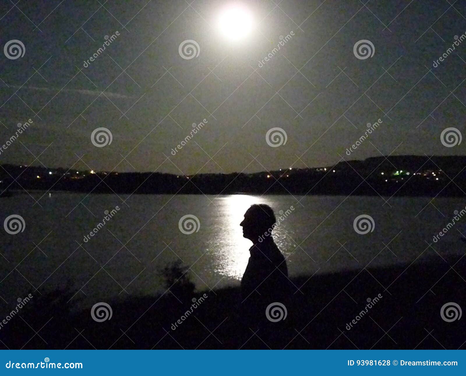 Self-portrait in the Moonlight Stock Photo - Image of moon, cool: 93981628
