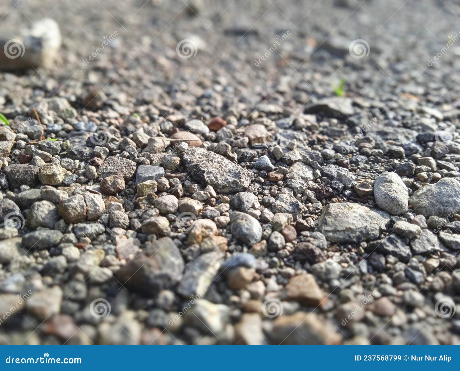 Self-portrait Photo of Pebbles on the River Bank Stock Image - Image of ...