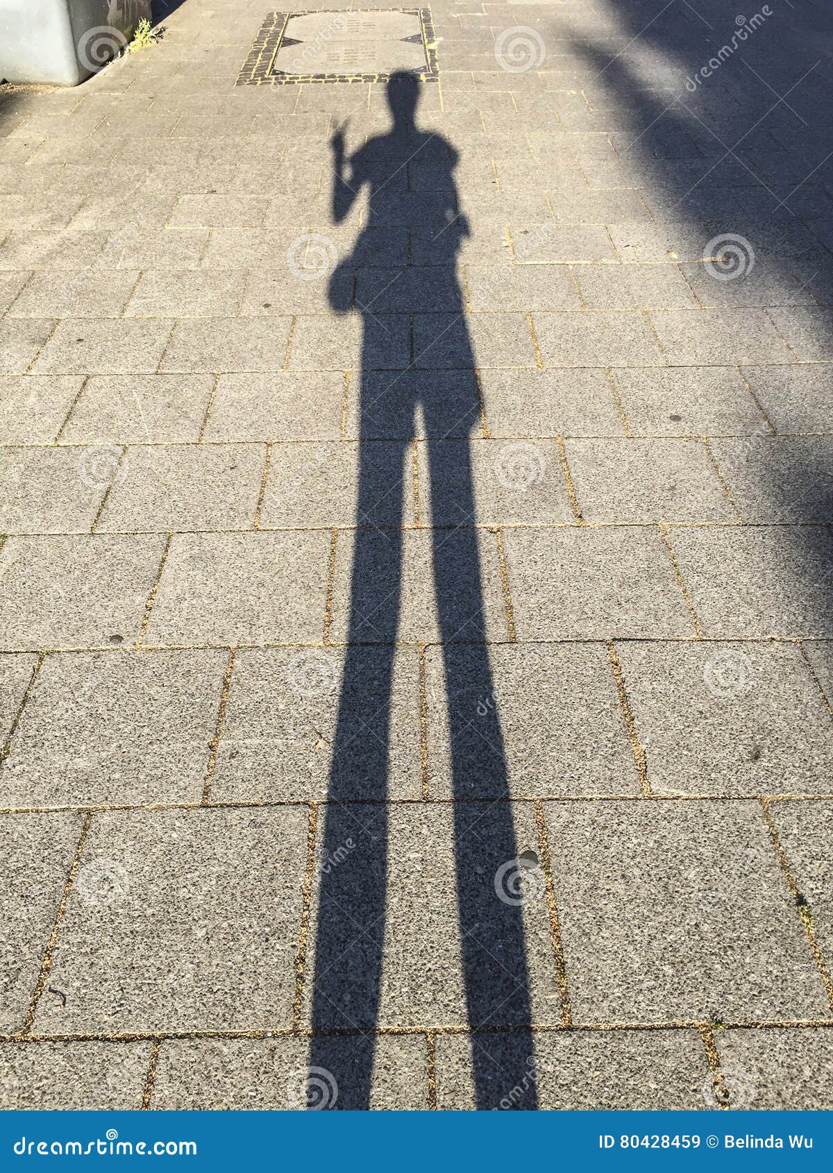 Self portrait shadow stock image. Image of abstract, shadow - 80428459