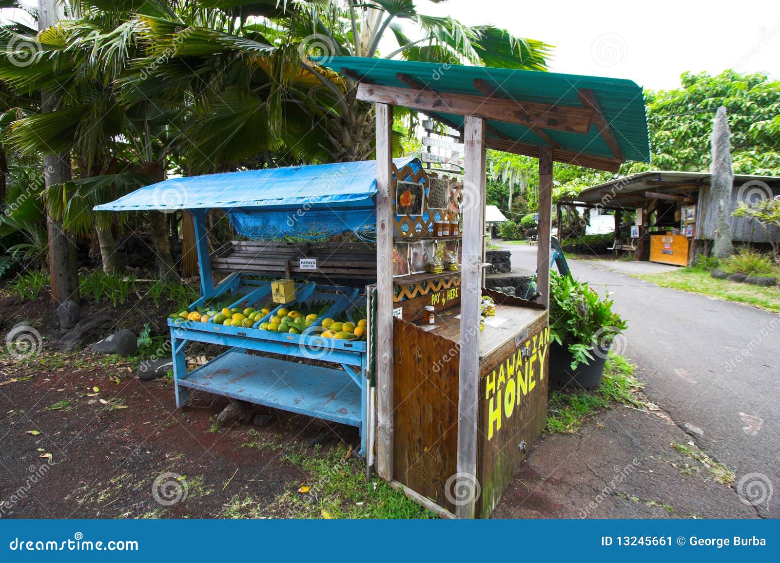 Self-serve Honey and Fruit Stand Stock Image - Image of tree, road ...